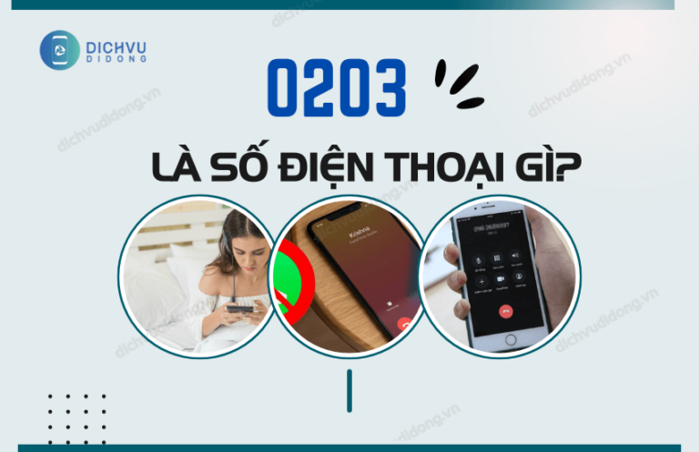 Biết ngay 0203 là mã vùng ở đâu? Mạng gì? Lừa đảo không?